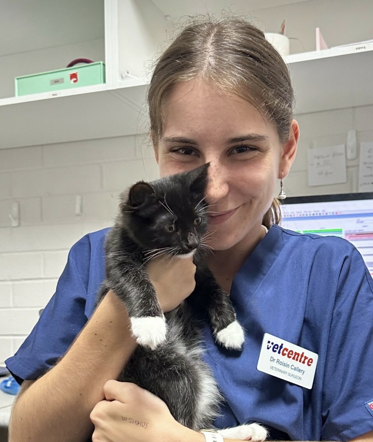 Our Veterinarians | Morley Vetcentre